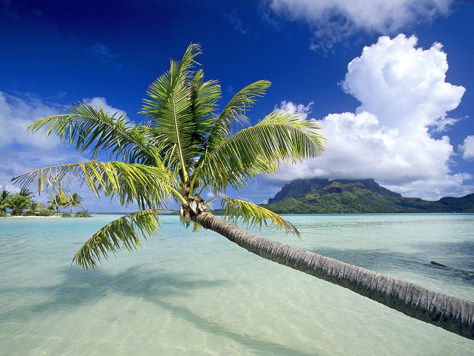 Tropical Water Wallpapers - Top Free Tropical Water Backgrounds ...