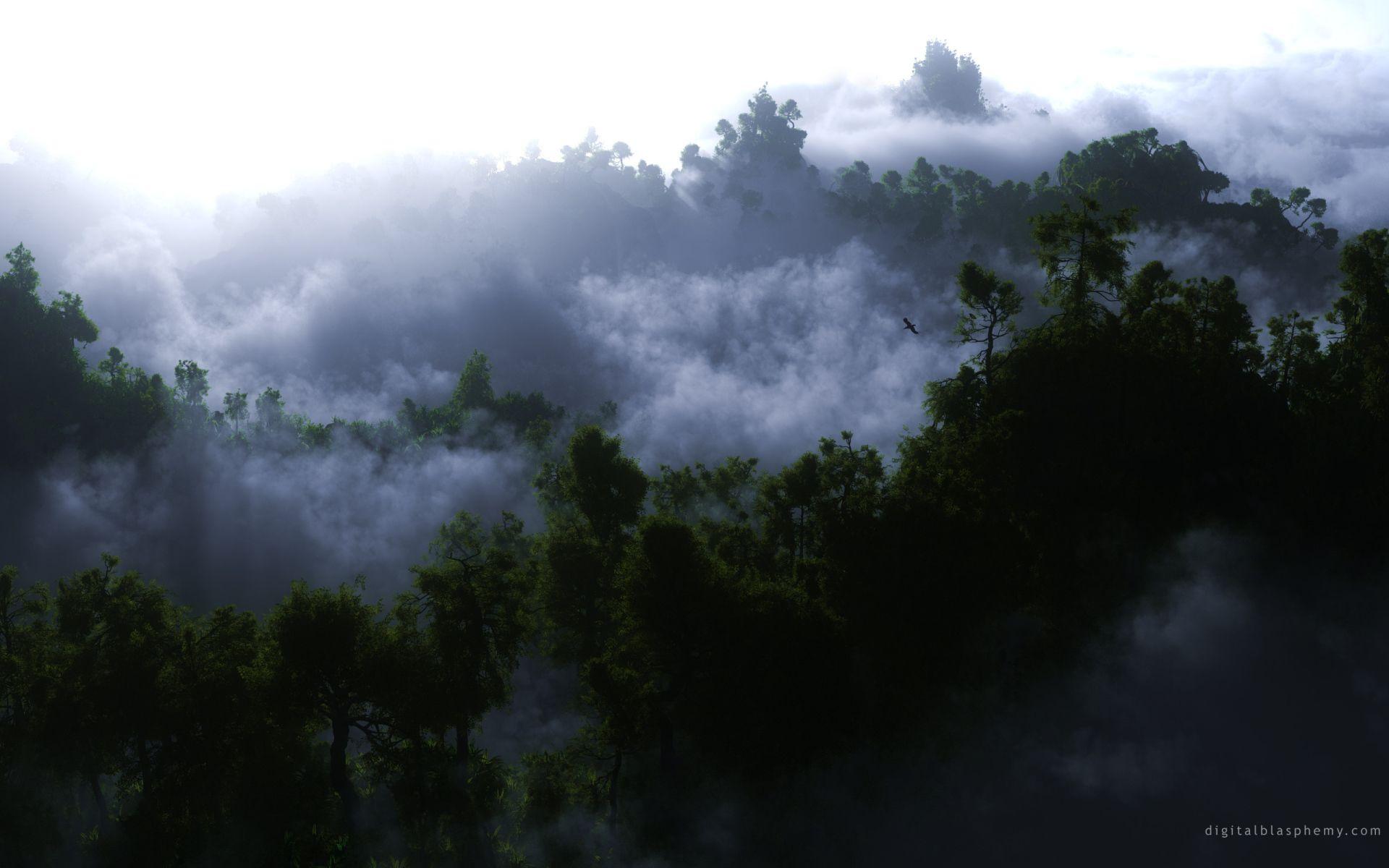 Among Trees Wallpapers - Top Free Among Trees Backgrounds - WallpaperAccess