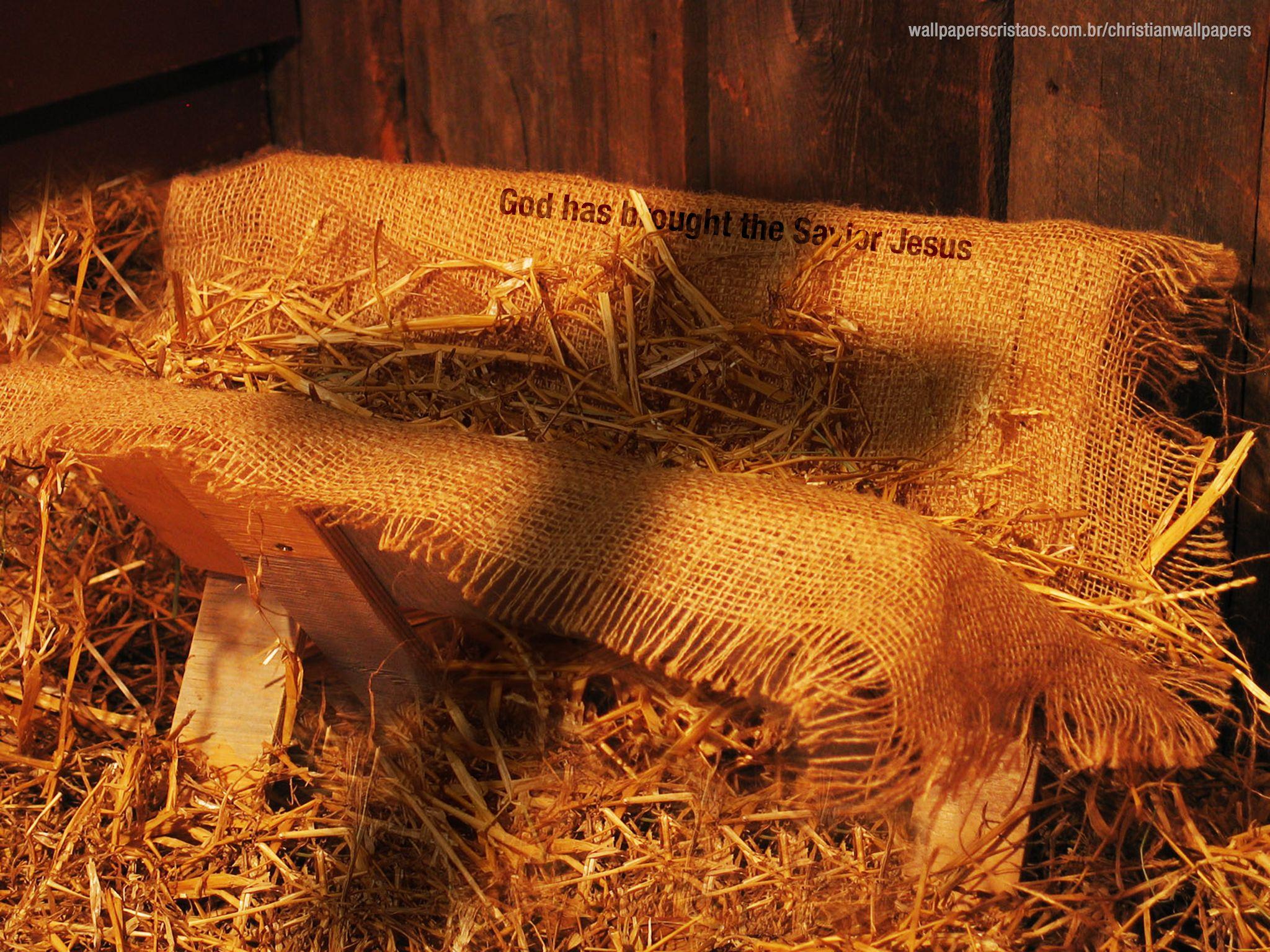 Manger Wallpapers - Top Free Manger Backgrounds - WallpaperAccess