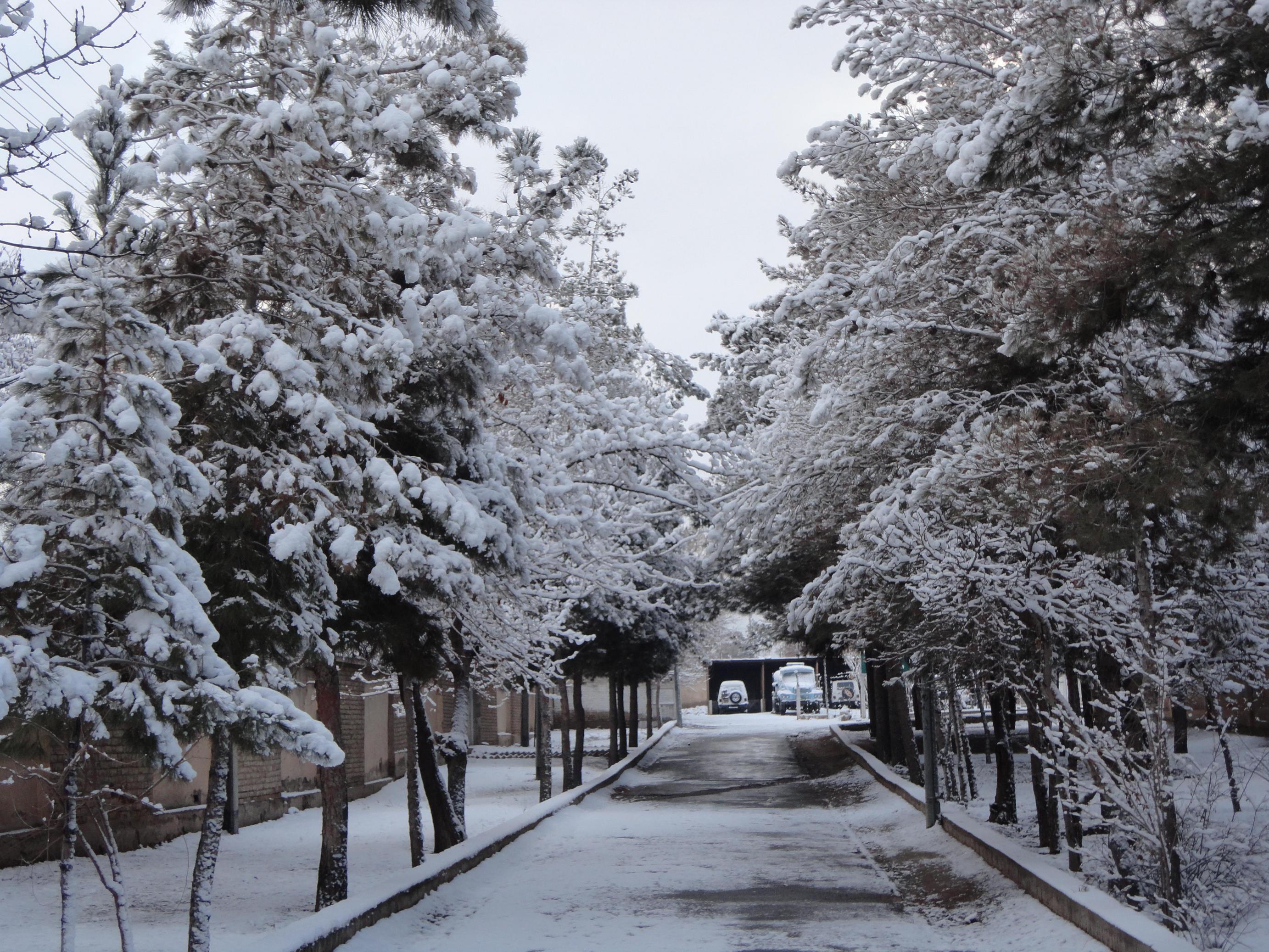 Quetta Wallpapers - Top Free Quetta Backgrounds - WallpaperAccess