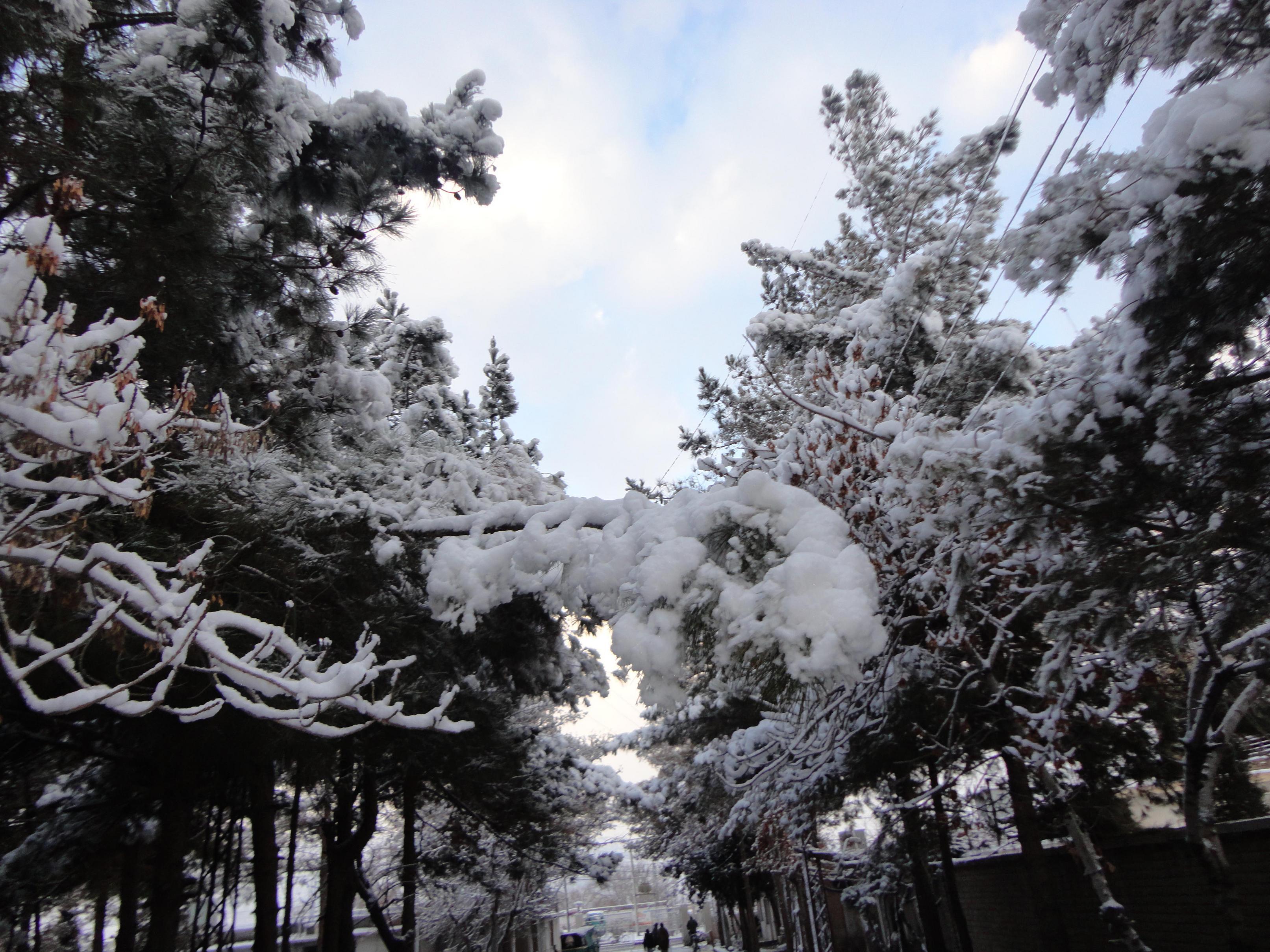 Quetta Wallpapers - Top Free Quetta Backgrounds - WallpaperAccess