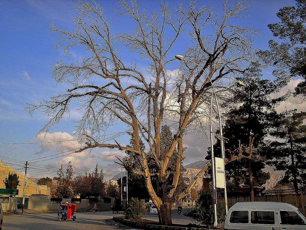 Quetta Wallpapers - Top Free Quetta Backgrounds - WallpaperAccess