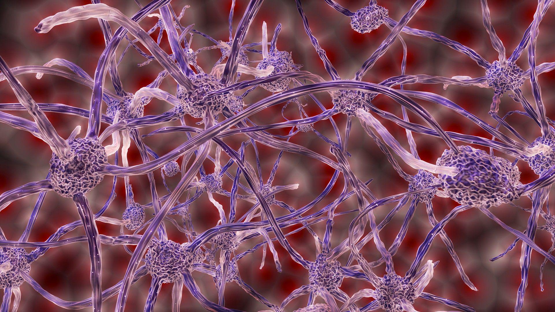 Neuralink Wallpapers - Top Free Neuralink Backgrounds - WallpaperAccess