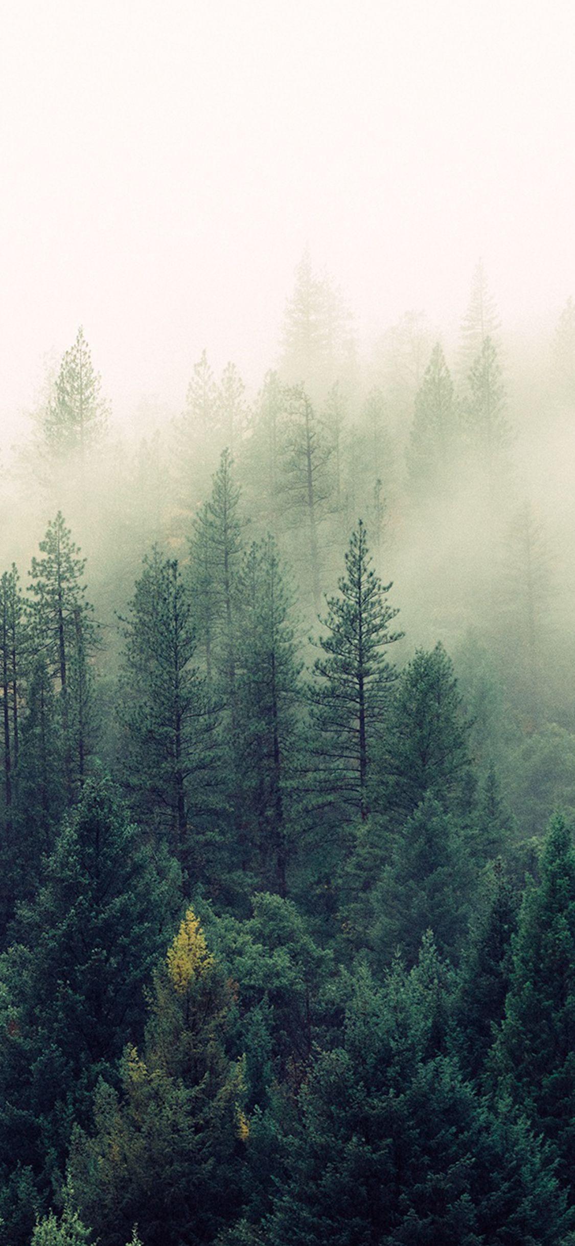 Nomad Wallpapers - Top Free Nomad Backgrounds - WallpaperAccess