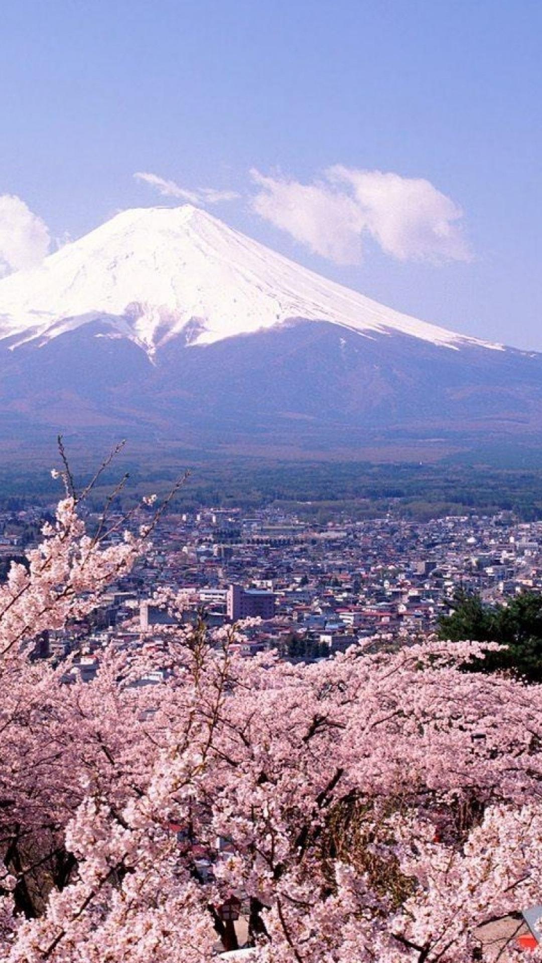 Tokyo Sakura Wallpapers - Top Free Tokyo Sakura Backgrounds ...