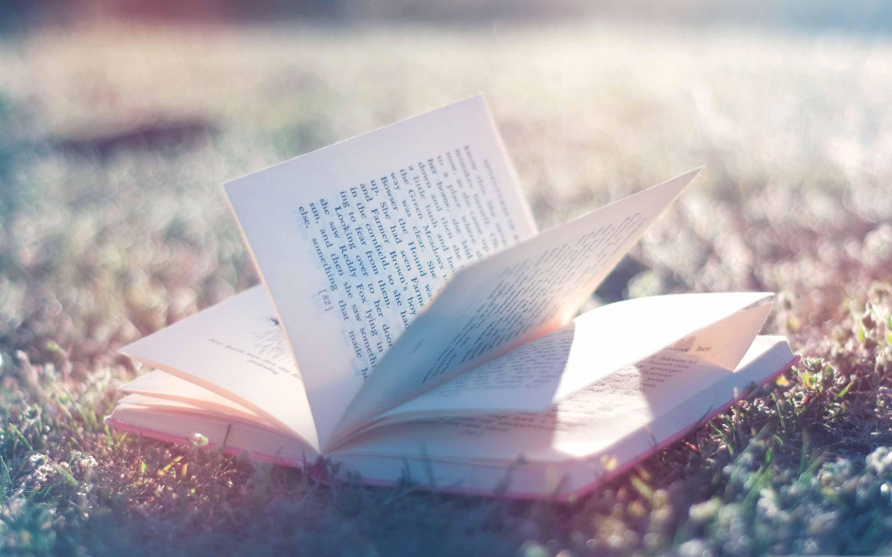 Green Book Wallpapers - Top Free Green Book Backgrounds - WallpaperAccess
