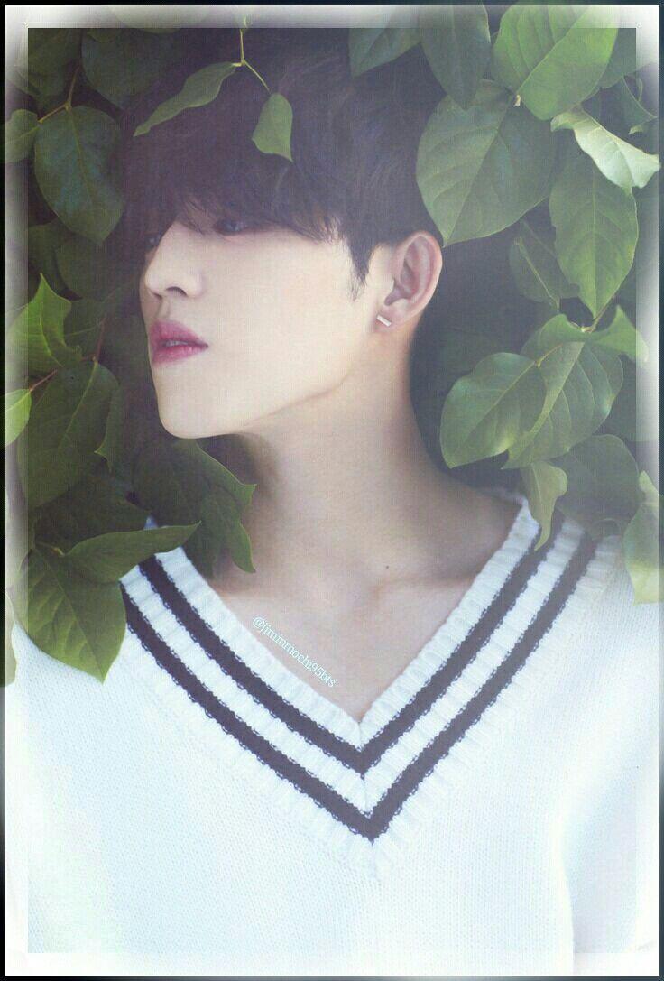 S.Coups Wallpapers - Top Free S.Coups Backgrounds - WallpaperAccess