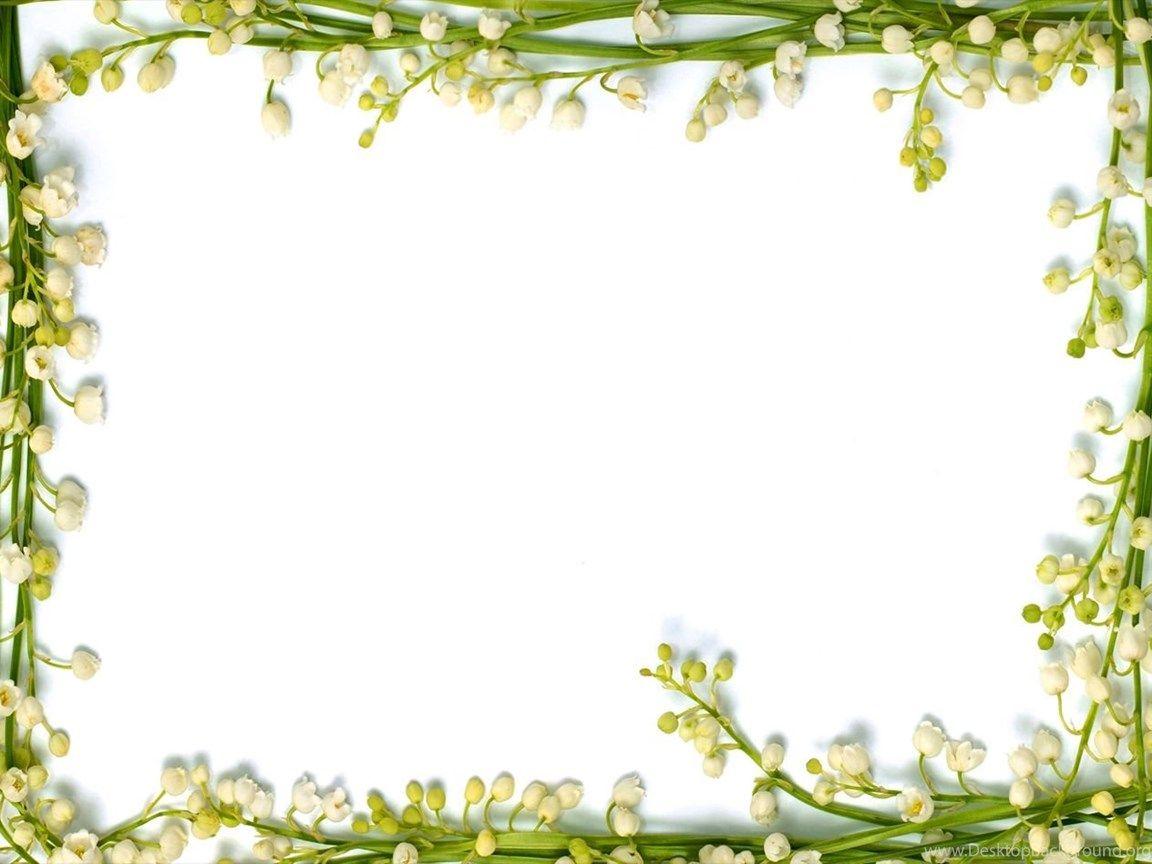 Floral Frame Wallpapers - Top Free Floral Frame Backgrounds ...