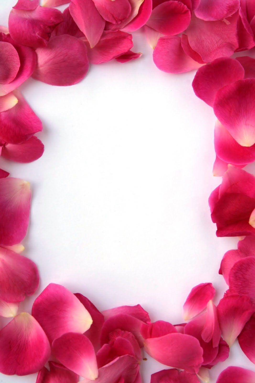 Flower Frame HD Wallpapers - Top Free Flower Frame HD Backgrounds ...