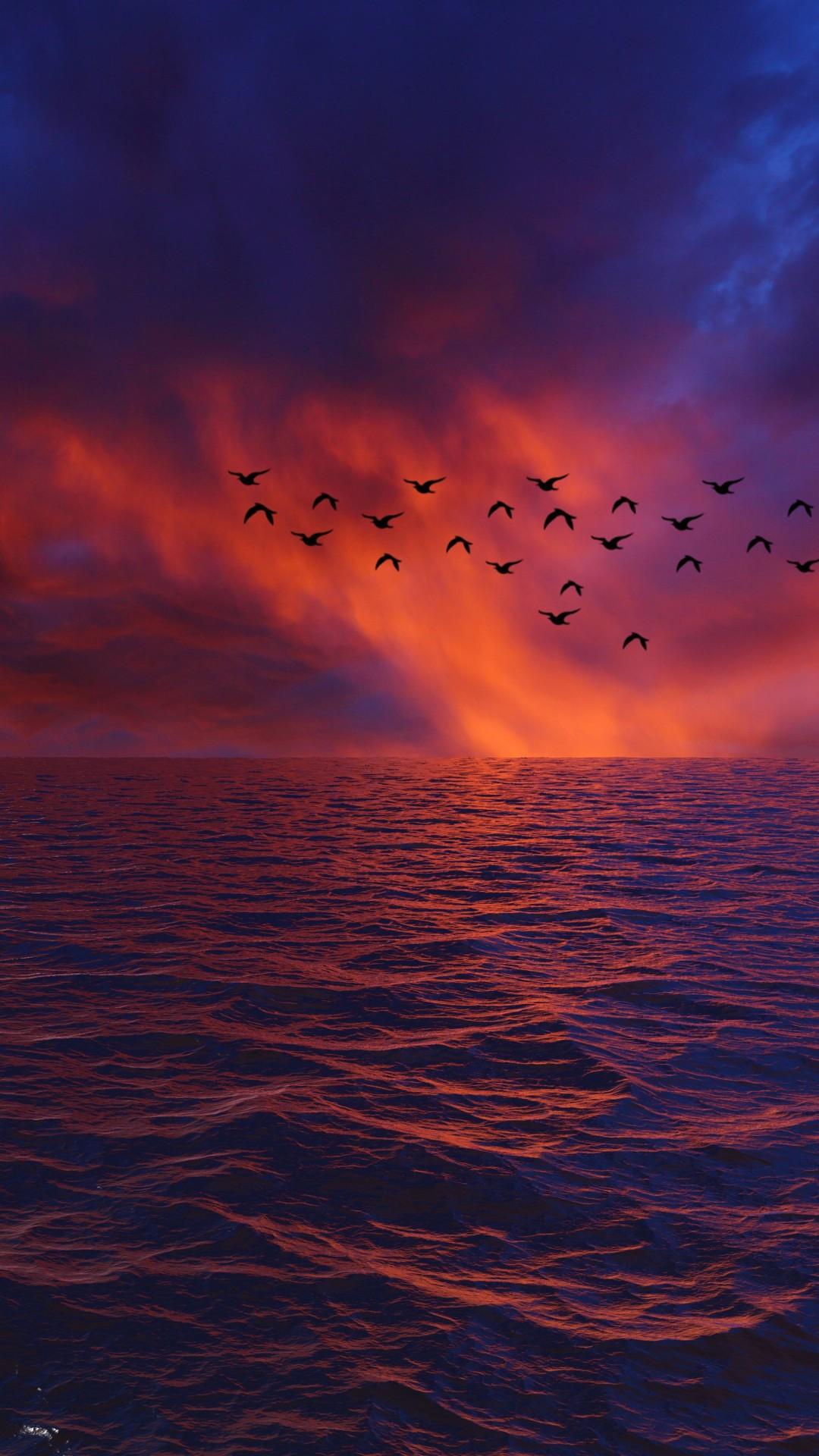 Birds In Sky Wallpapers - Top Free Birds In Sky Backgrounds ...