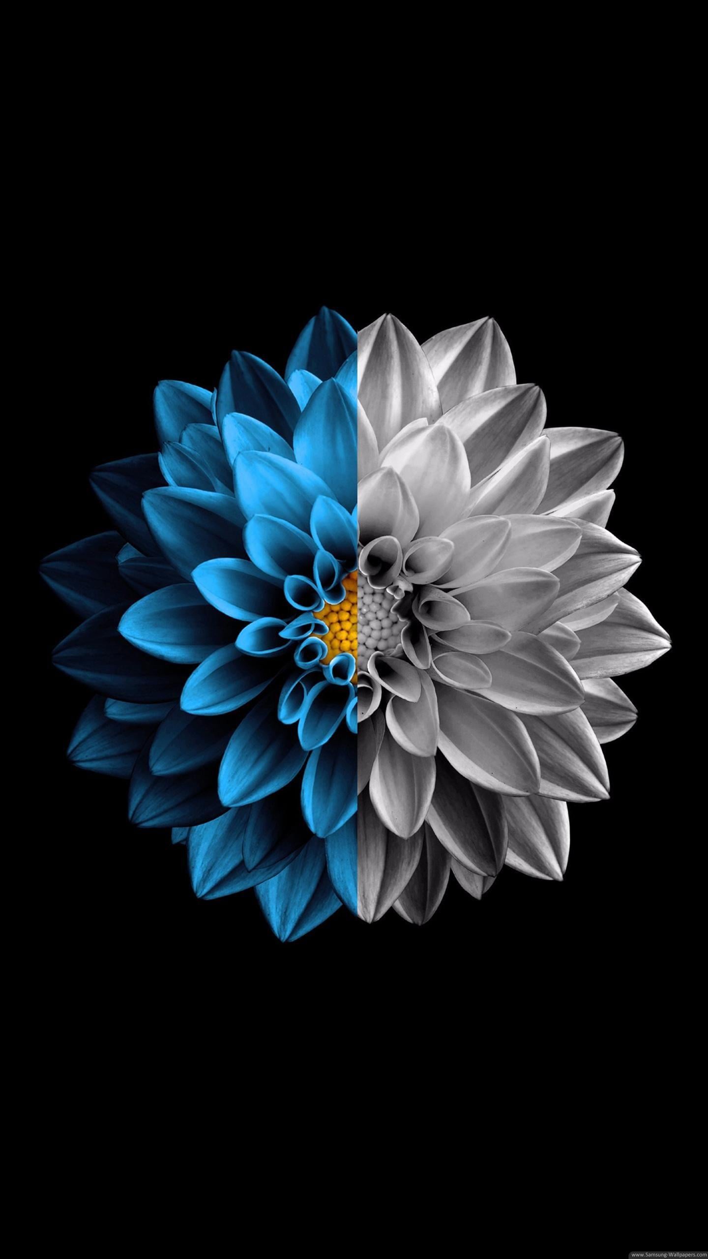 Samsung Galaxy J5 Prime Wallpapers - Top Free Samsung Galaxy J5 Prime ...