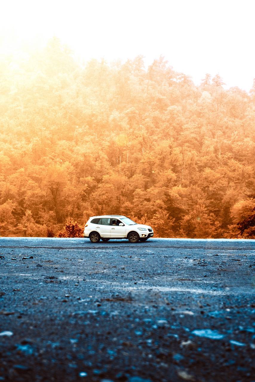 Autumn Minimal Wallpapers - Top Free Autumn Minimal Backgrounds ...