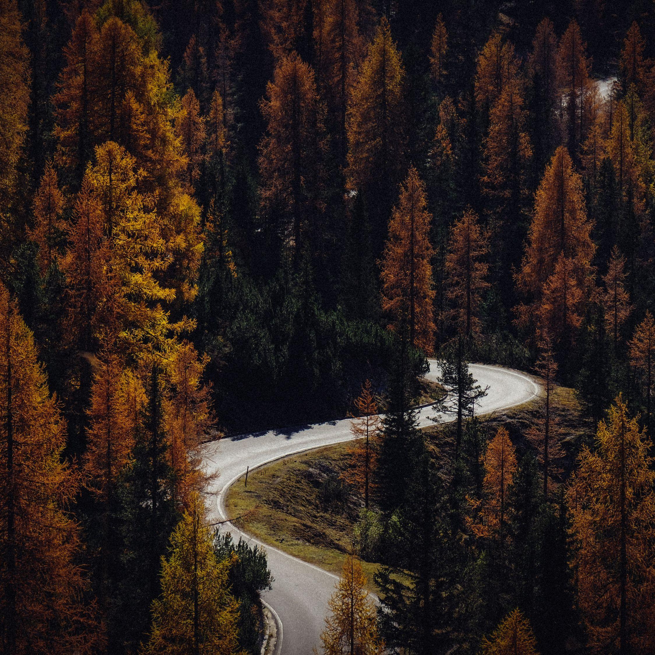 Autumn Minimal Wallpapers - Top Free Autumn Minimal Backgrounds ...