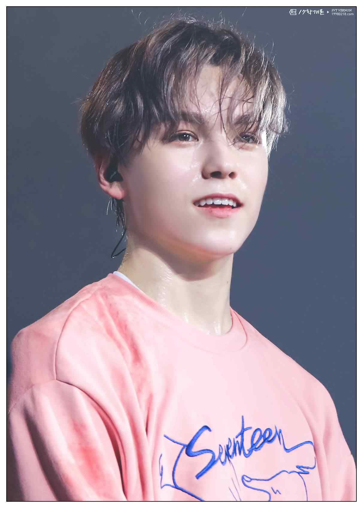 Vernon Seventeen Wallpapers - Top Free Vernon Seventeen Backgrounds ...