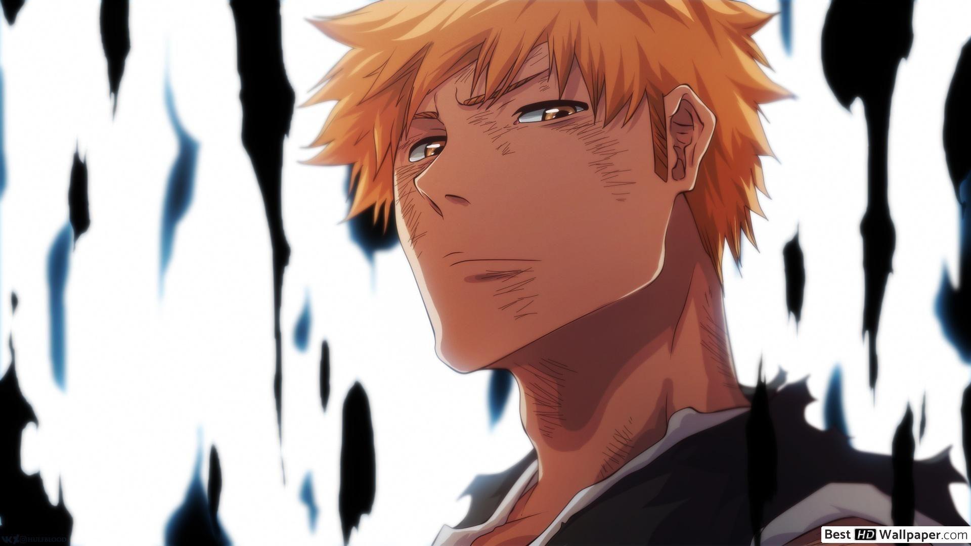 King Bach Wallpapers - Top Free King Bach Backgrounds - WallpaperAccess