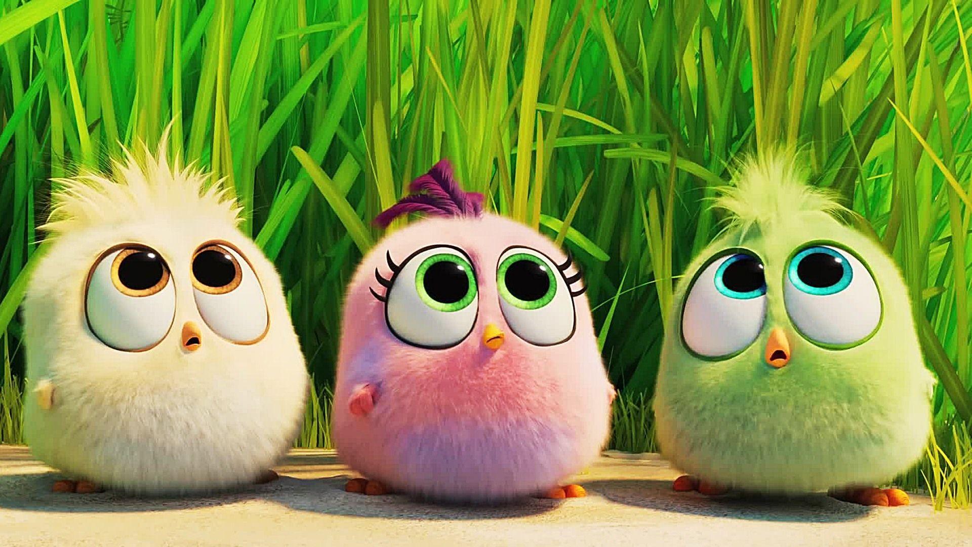 Angry Bird 2 Wallpapers - Top Free Angry Bird 2 Backgrounds ...
