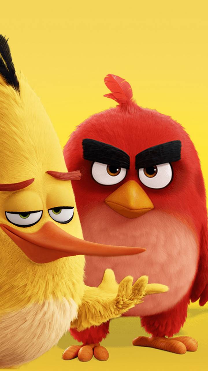 Angry Bird 2 Wallpapers - Top Free Angry Bird 2 Backgrounds ...