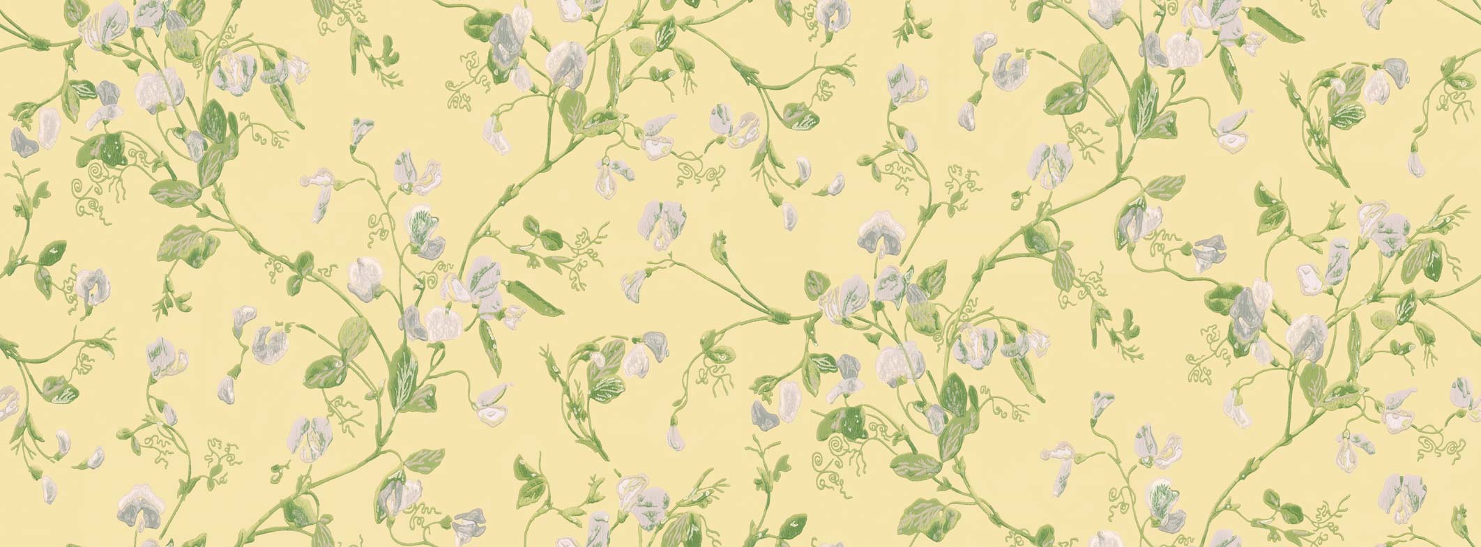 Sweet Pea Wallpapers - Top Free Sweet Pea Backgrounds - WallpaperAccess