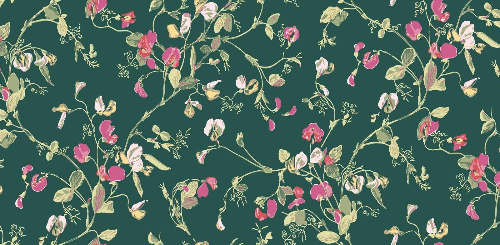 Sweet Pea Wallpapers - Top Free Sweet Pea Backgrounds - WallpaperAccess