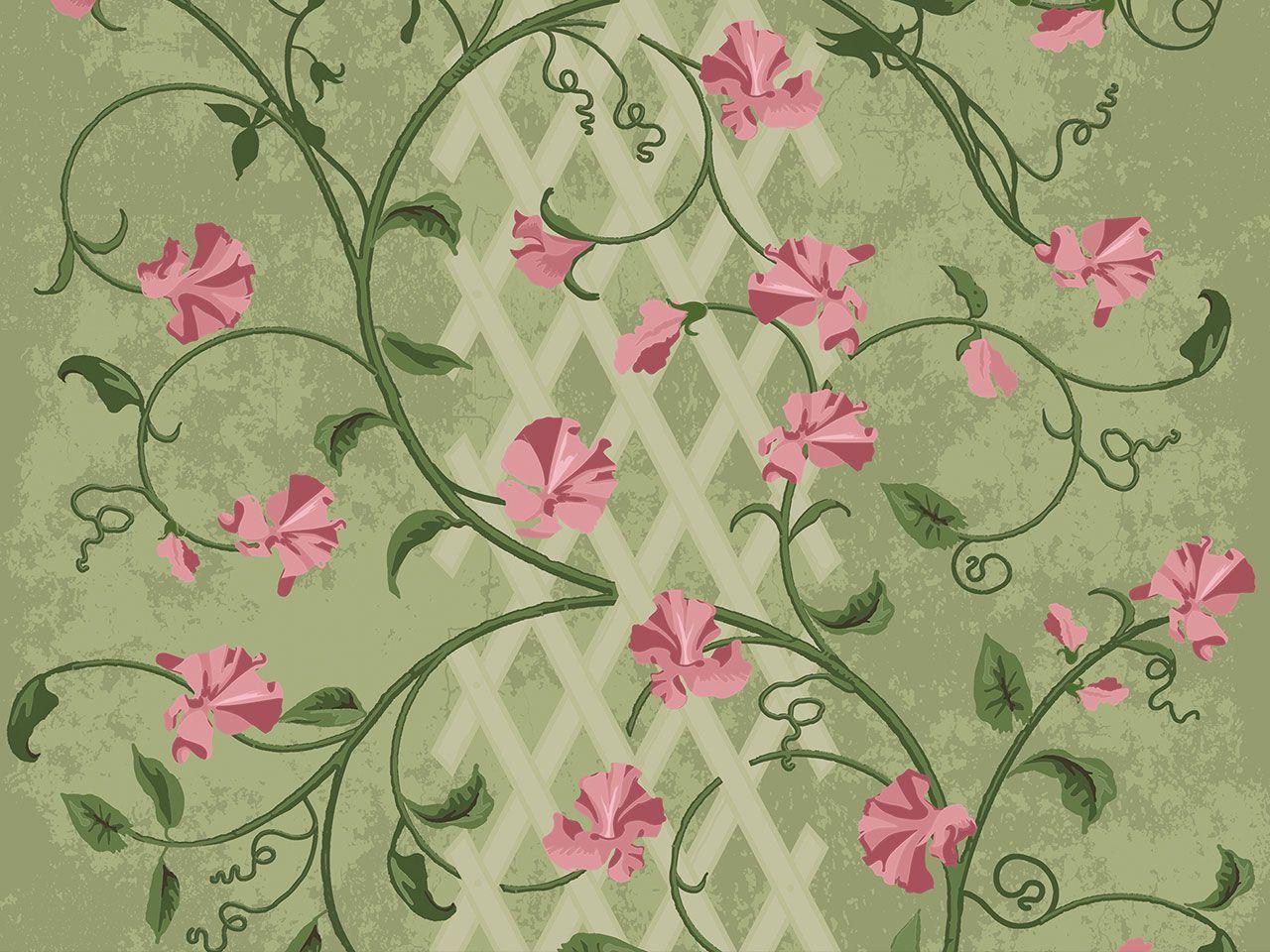 Sweet Pea Wallpapers - Top Free Sweet Pea Backgrounds - WallpaperAccess