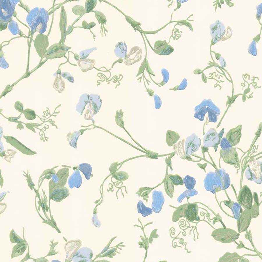 Sweet Pea Wallpapers - Top Free Sweet Pea Backgrounds - WallpaperAccess