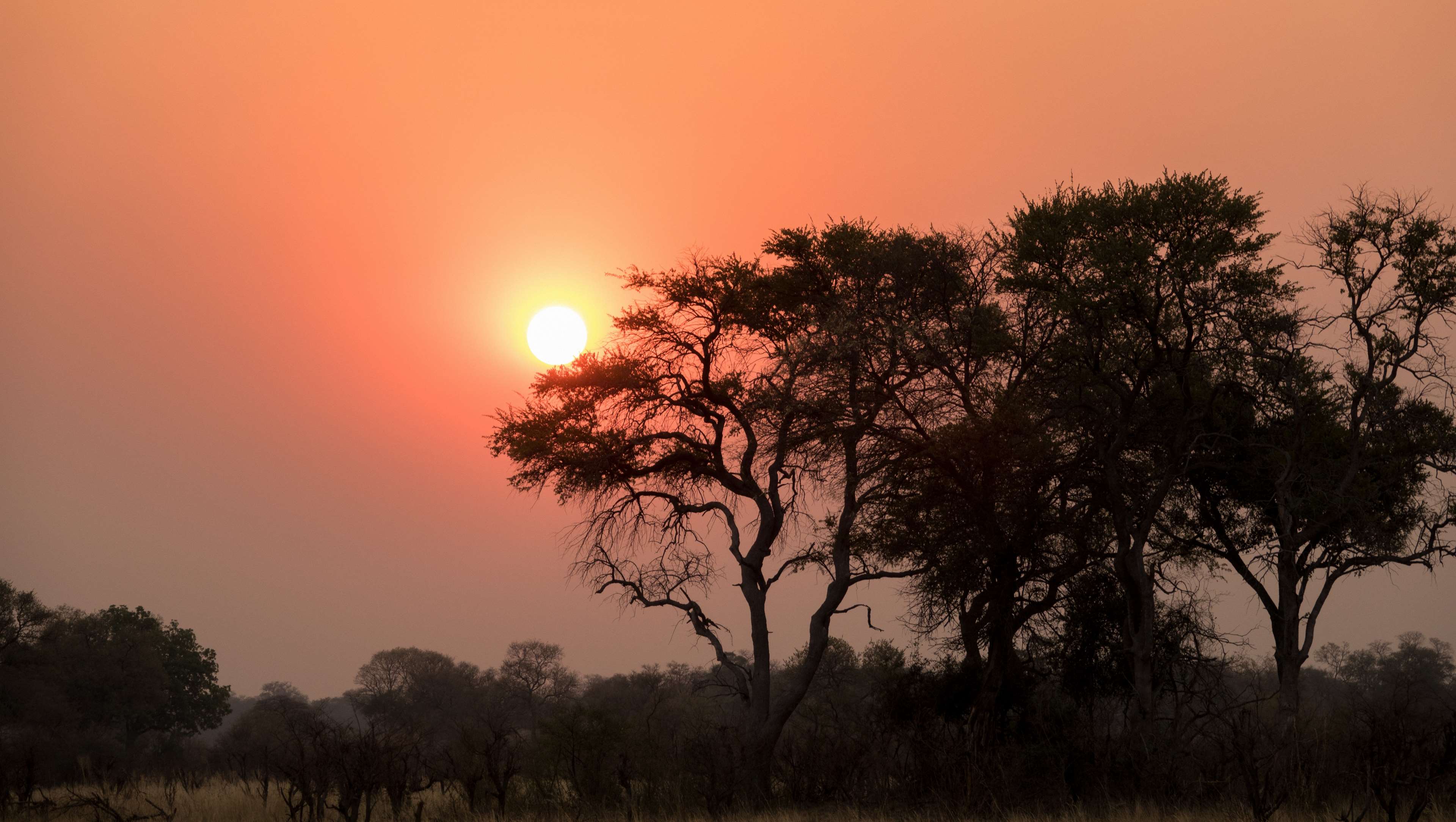 Botswana Wallpapers - Top Free Botswana Backgrounds - WallpaperAccess
