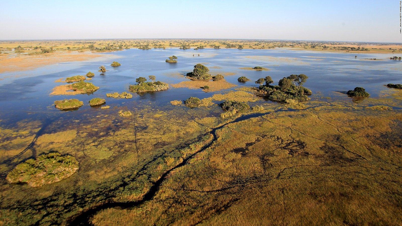 Botswana Wallpapers - Top Free Botswana Backgrounds - WallpaperAccess