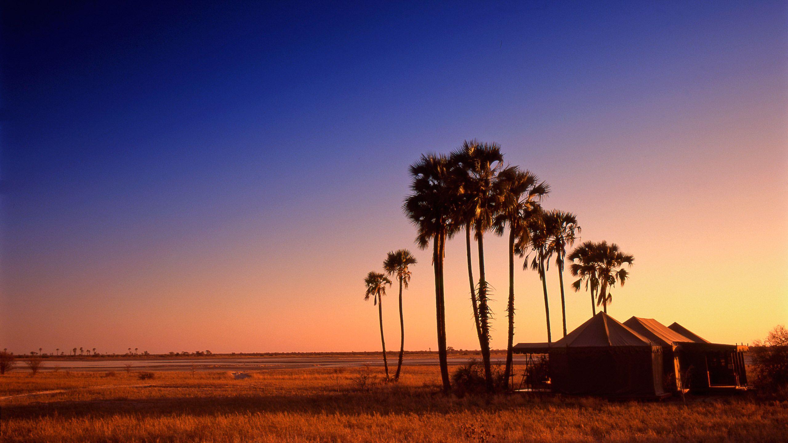 Botswana Wallpapers - Top Free Botswana Backgrounds - WallpaperAccess