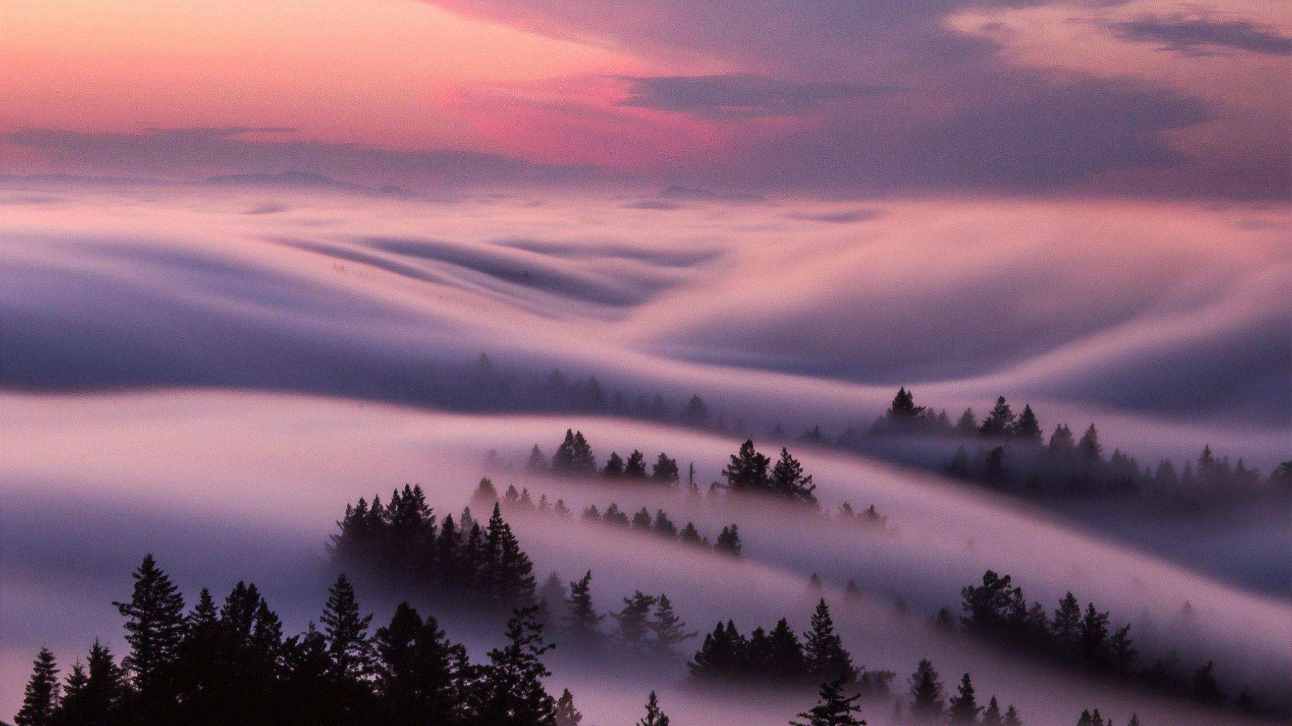 Pink Storm Wallpapers - Top Free Pink Storm Backgrounds - WallpaperAccess