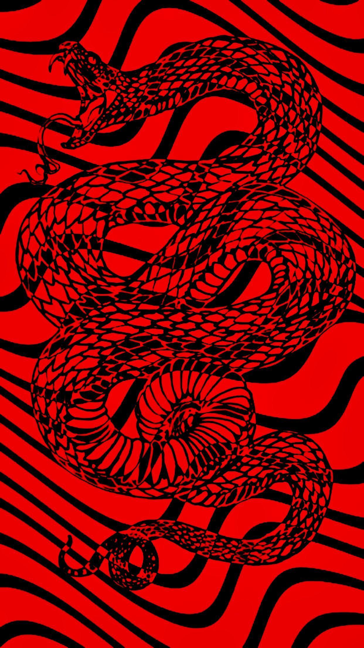 Black and Red Snake Wallpapers - Top Free Black and Red Snake ...