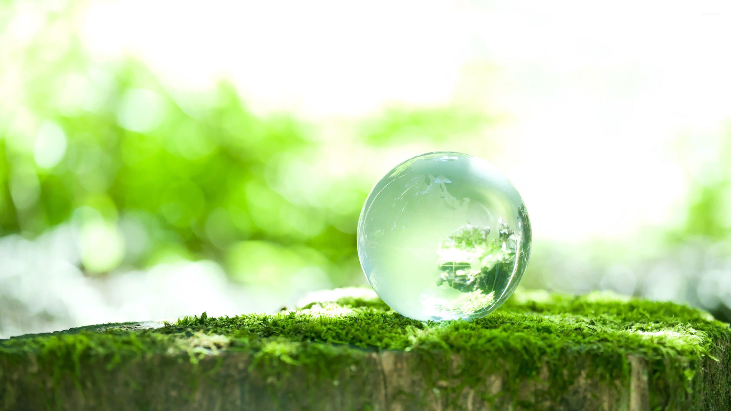 Dew Drop Wallpapers - Top Free Dew Drop Backgrounds - WallpaperAccess
