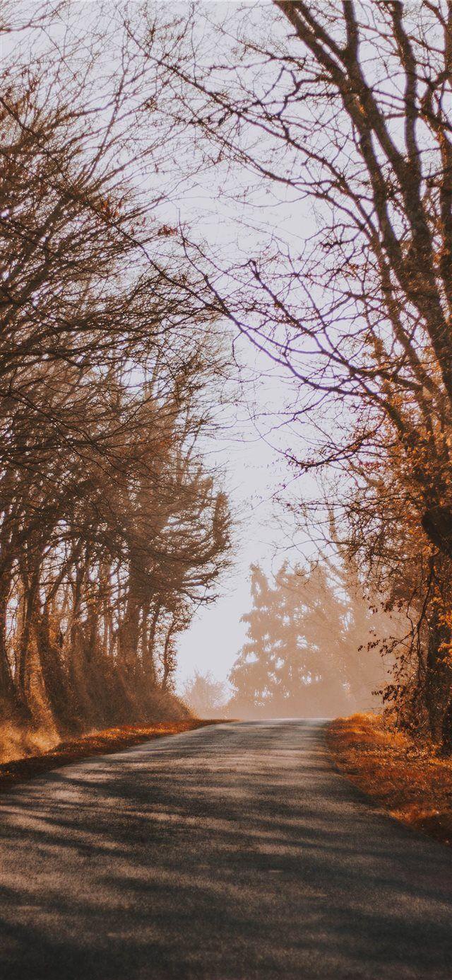 Day Time Wallpapers - Top Free Day Time Backgrounds - WallpaperAccess