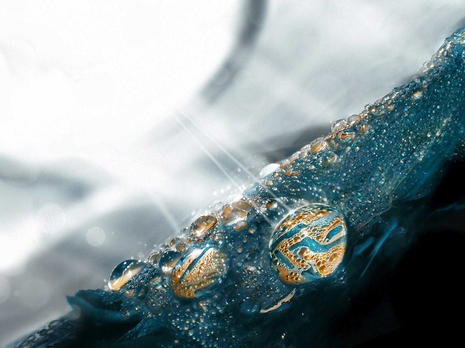 Dew Drop Wallpapers - Top Free Dew Drop Backgrounds - WallpaperAccess