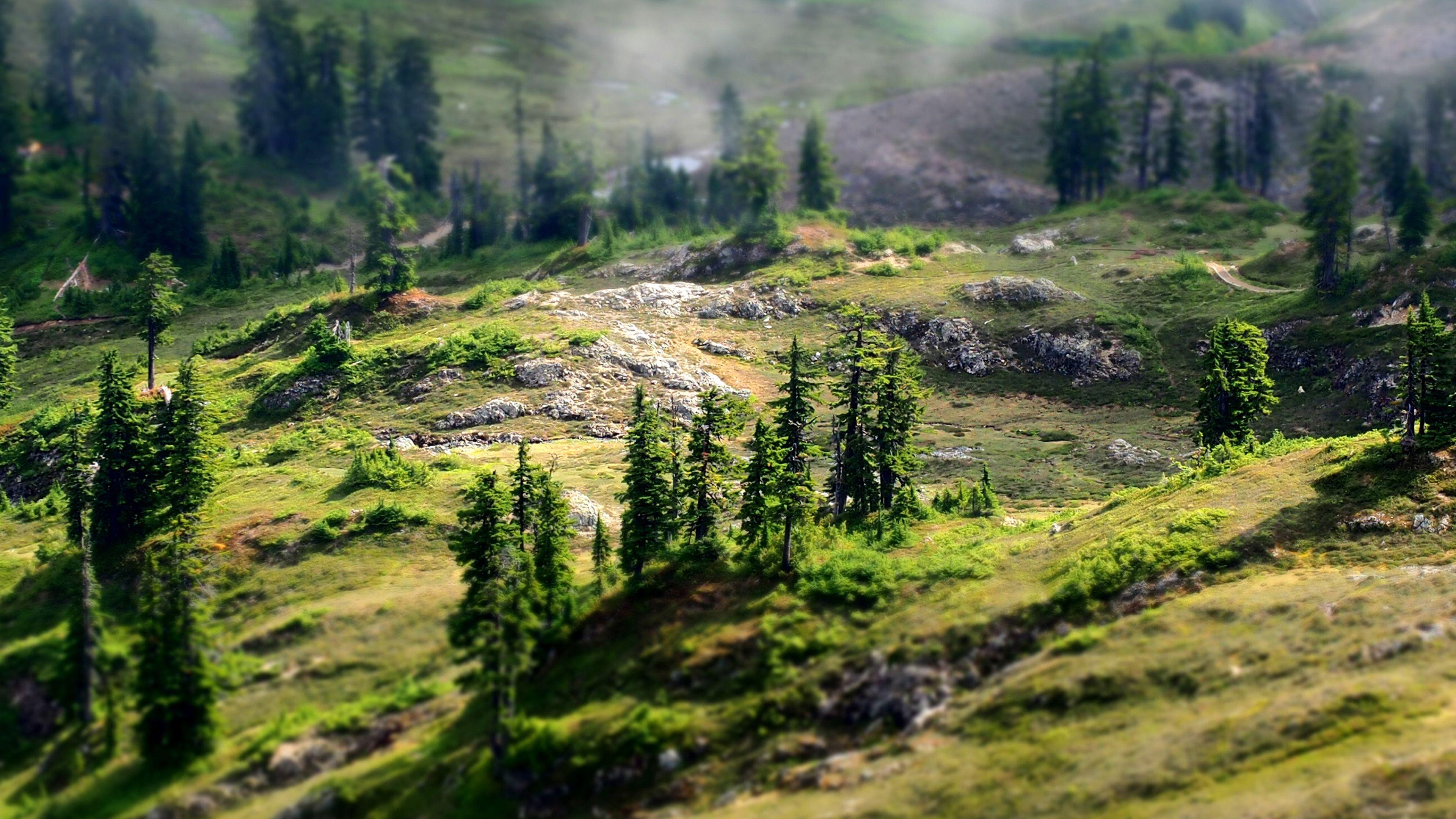 Spring Forest Landscape Wallpapers - Top Free Spring Forest Landscape ...