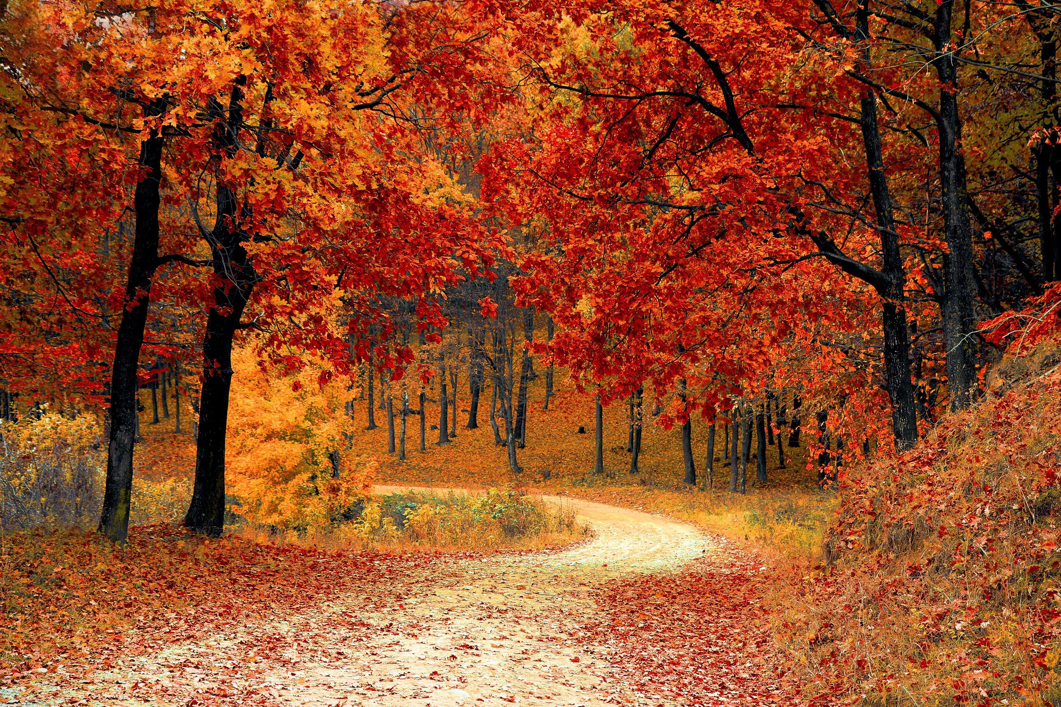 Late Fall Wallpapers - Top Free Late Fall Backgrounds - WallpaperAccess