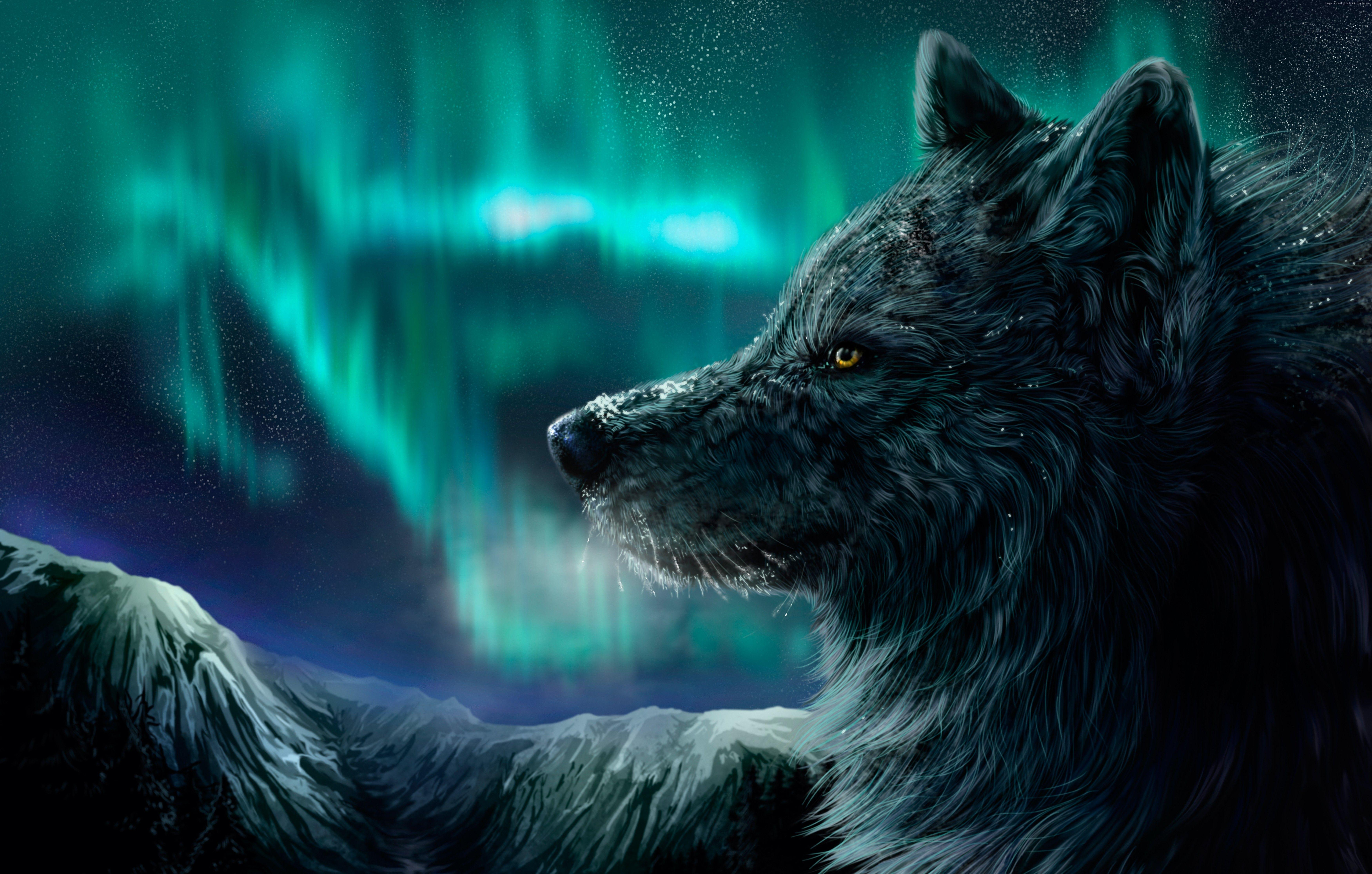 Wolf Aurora Wallpapers - Top Free Wolf Aurora Backgrounds - WallpaperAccess