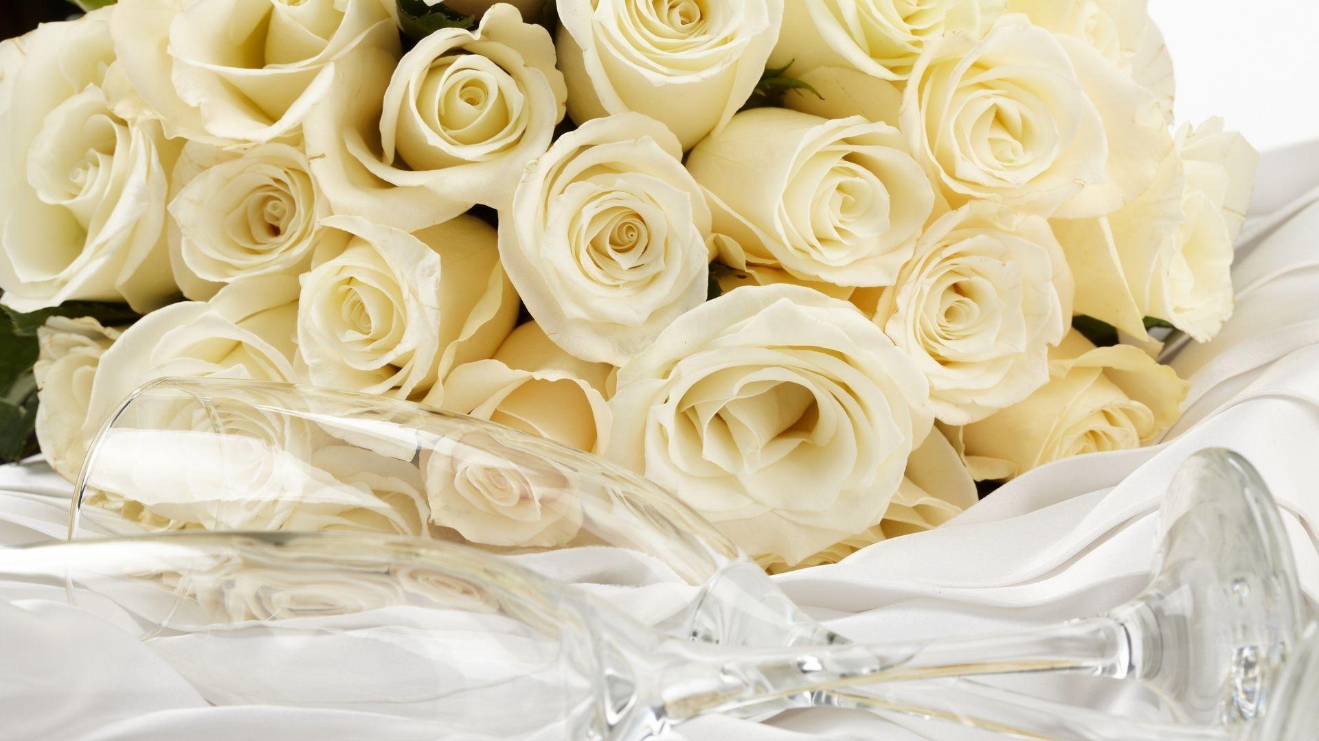 White Rose Flower Wallpapers - Top Free White Rose Flower Backgrounds ...