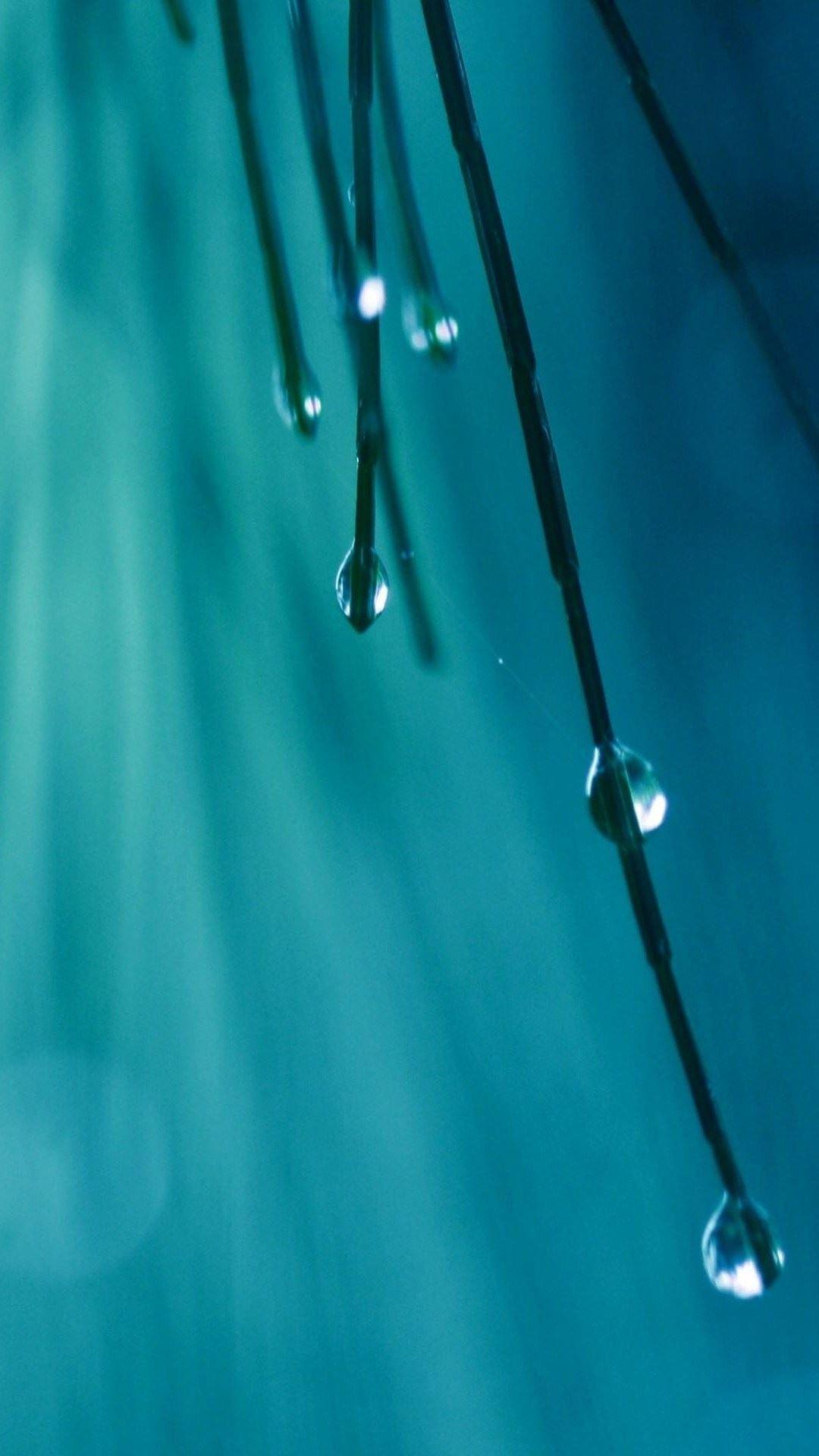 Dew Drop Wallpapers - Top Free Dew Drop Backgrounds - WallpaperAccess