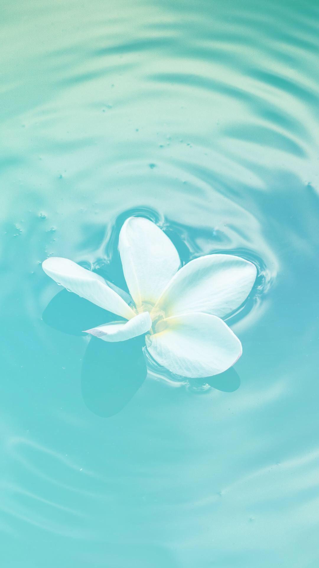 Floating Flowers Wallpapers - Top Free Floating Flowers Backgrounds ...
