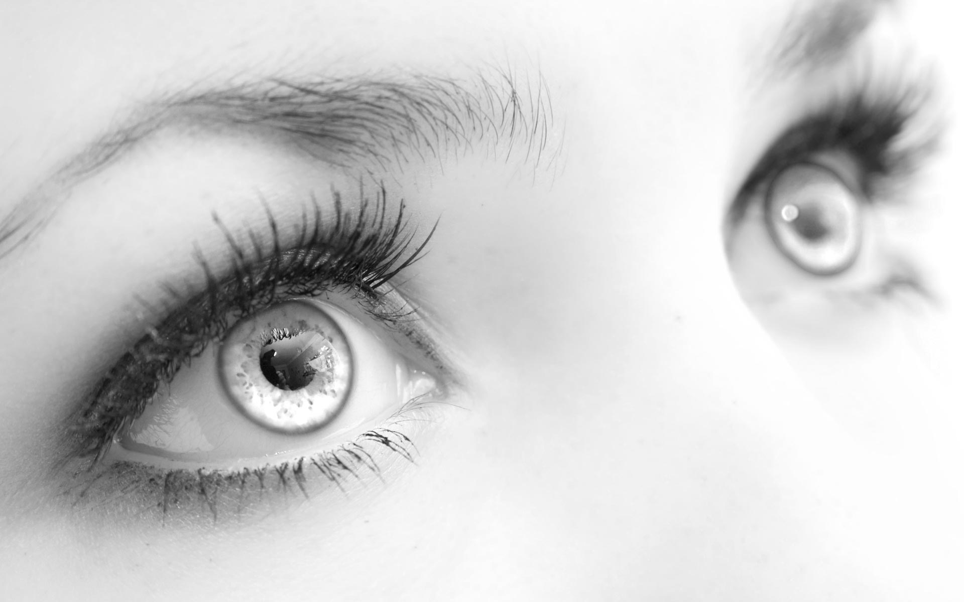 White Eye Wallpapers - Top Free White Eye Backgrounds - WallpaperAccess