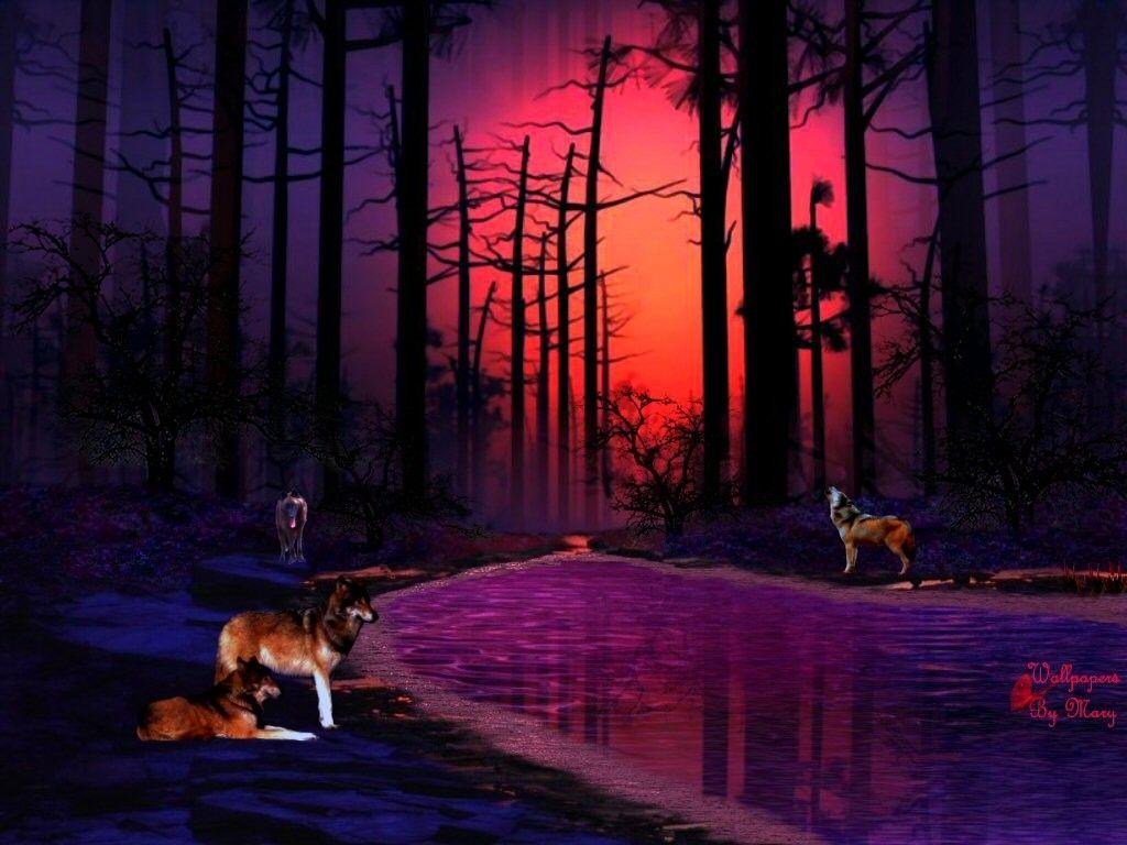 Wolf Aurora Wallpapers - Top Free Wolf Aurora Backgrounds - WallpaperAccess
