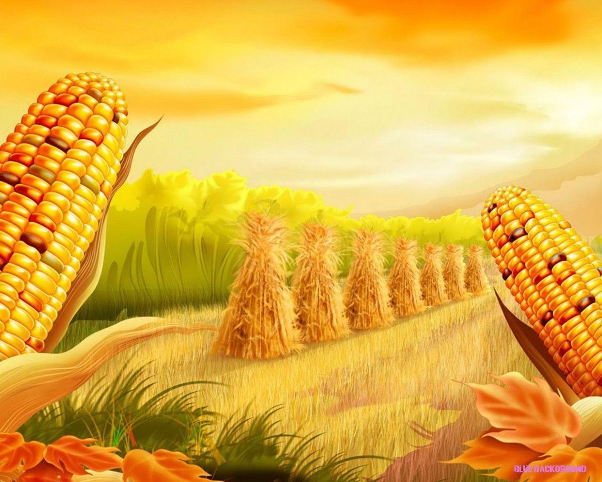 Food Landscape Wallpapers - Top Free Food Landscape Backgrounds ...