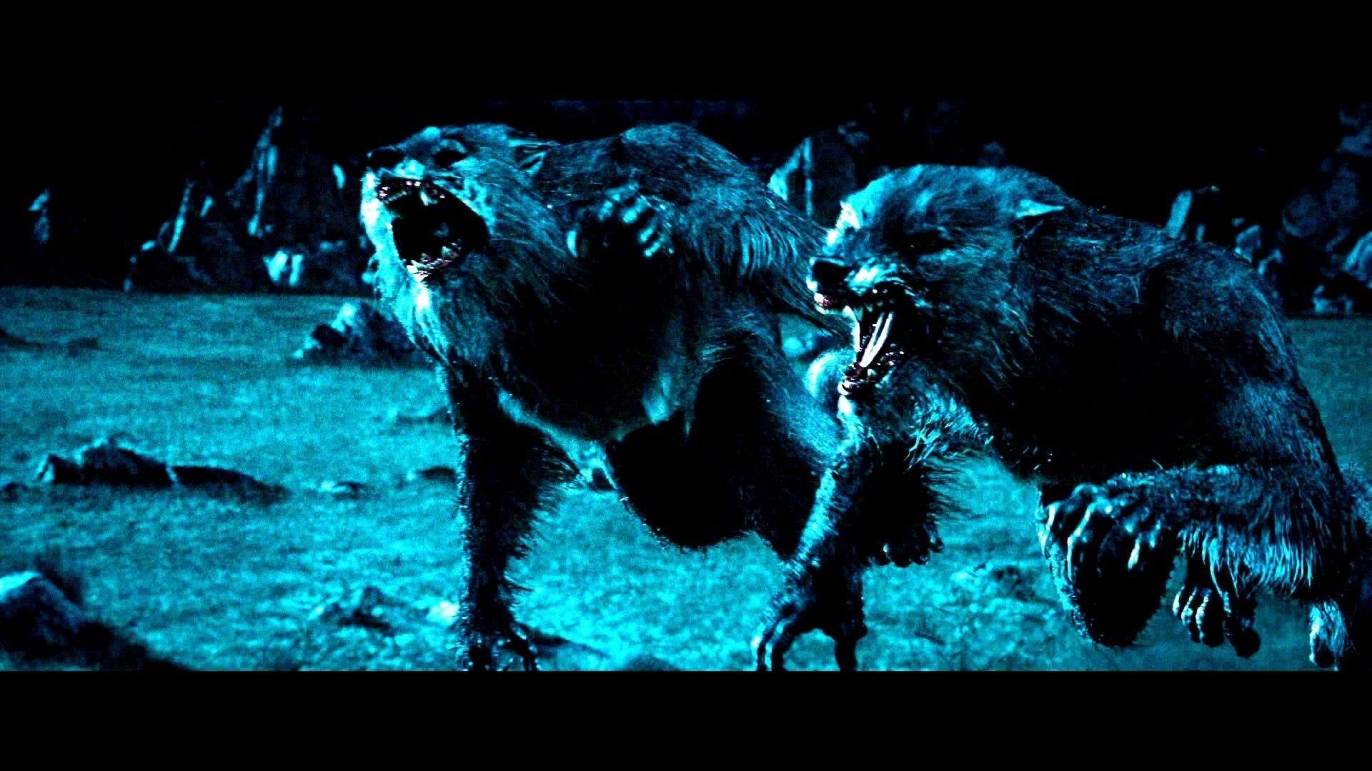 Underworld Lycan Wallpapers - Top Free Underworld Lycan Backgrounds ...