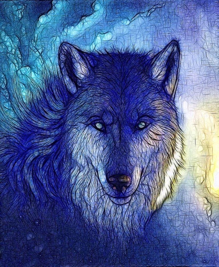 Wolf Tablet Wallpapers - Top Free Wolf Tablet Backgrounds - WallpaperAccess