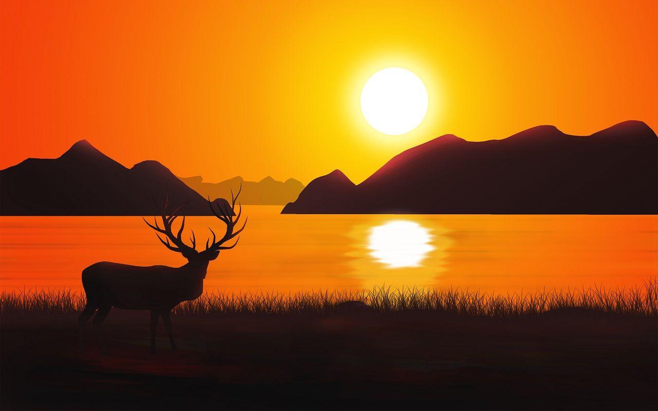Elk Sunset Wallpapers - Top Free Elk Sunset Backgrounds - WallpaperAccess