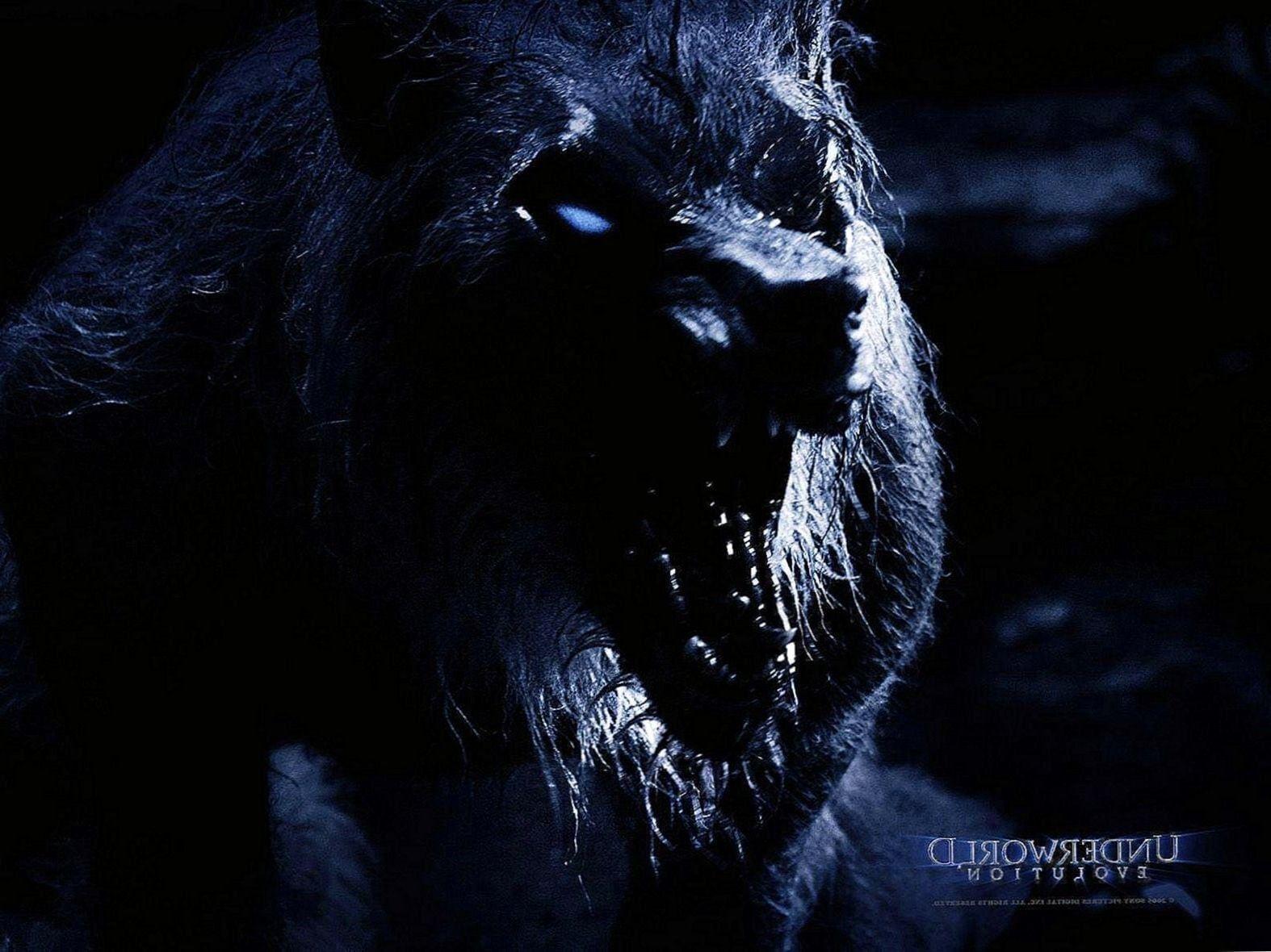 Underworld Lycan Wallpapers - Top Free Underworld Lycan Backgrounds ...