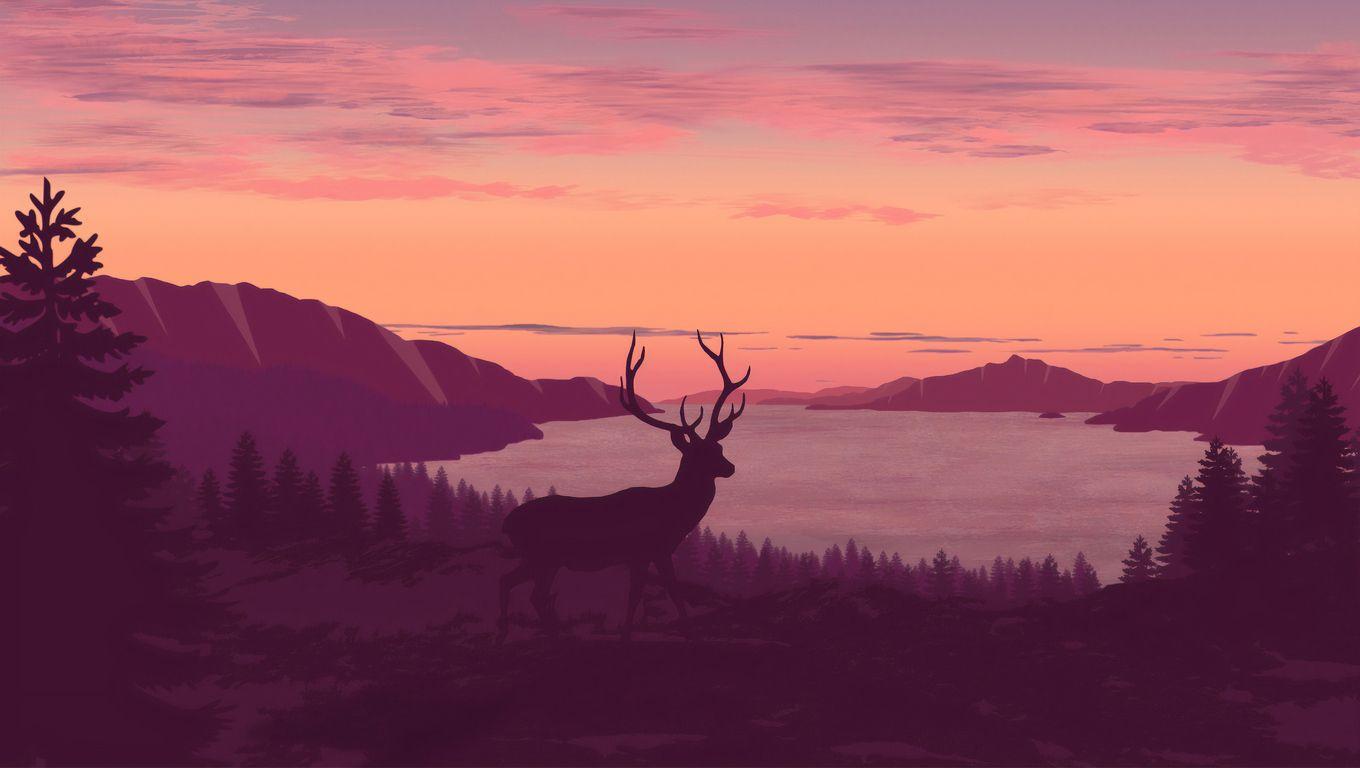 Elk Sunset Wallpapers - Top Free Elk Sunset Backgrounds - WallpaperAccess