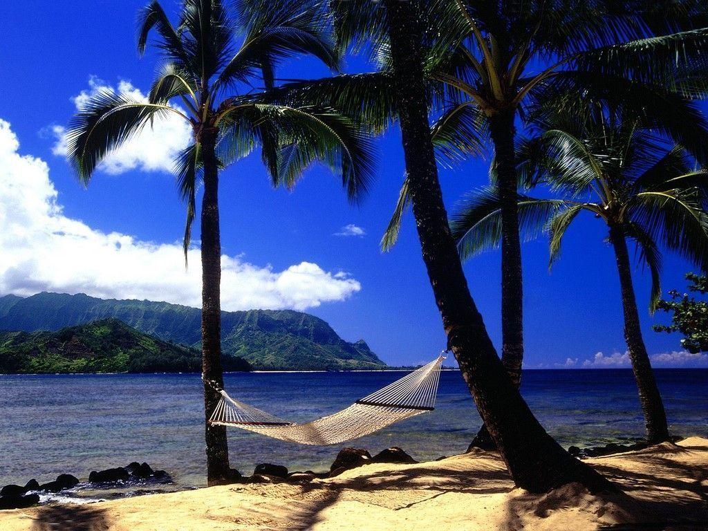 Hawaii Desktop Wallpapers - Top Free Hawaii Desktop Backgrounds ...