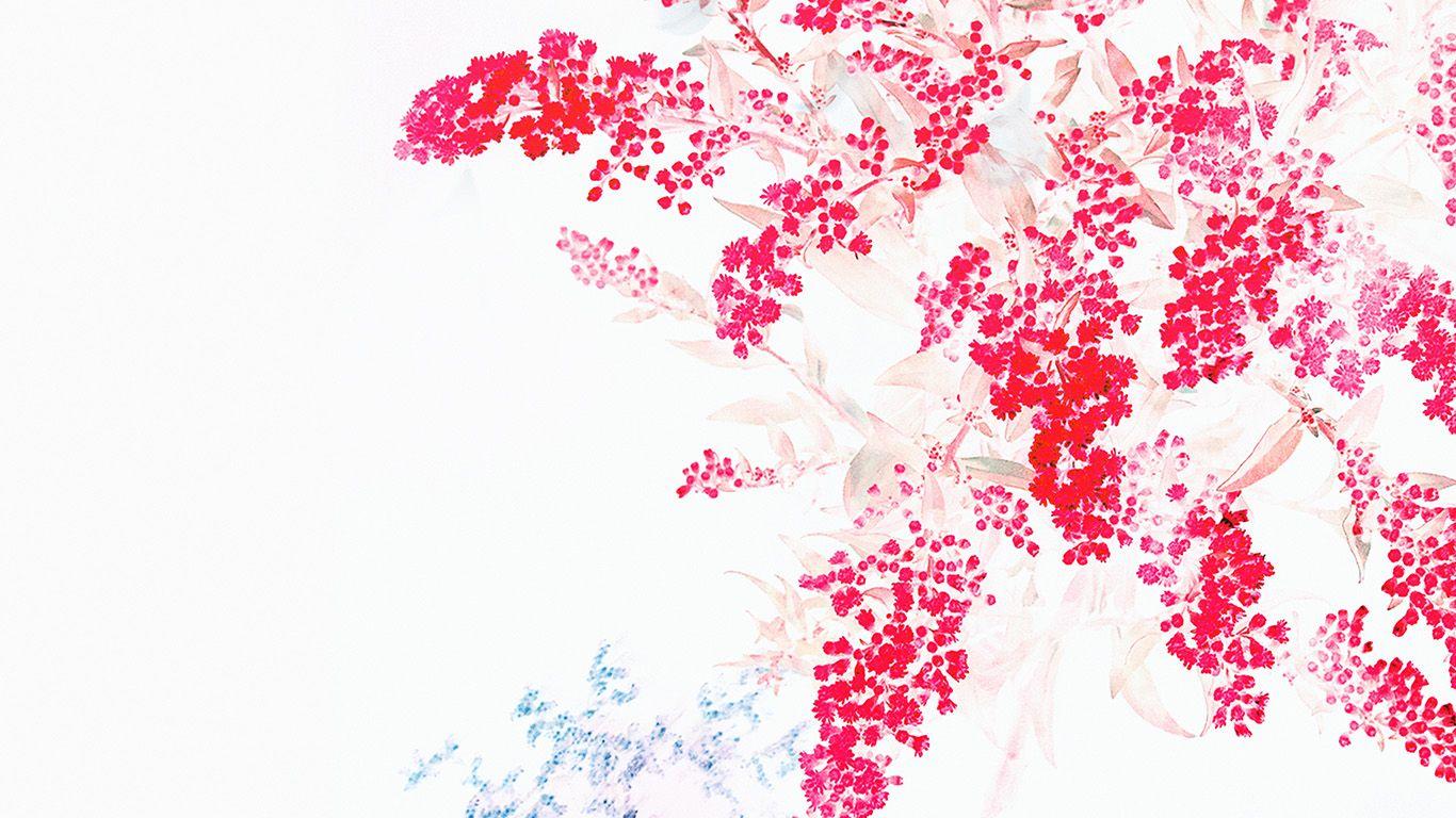 Red and White Desktop Wallpapers - Top Free Red and White Desktop ...