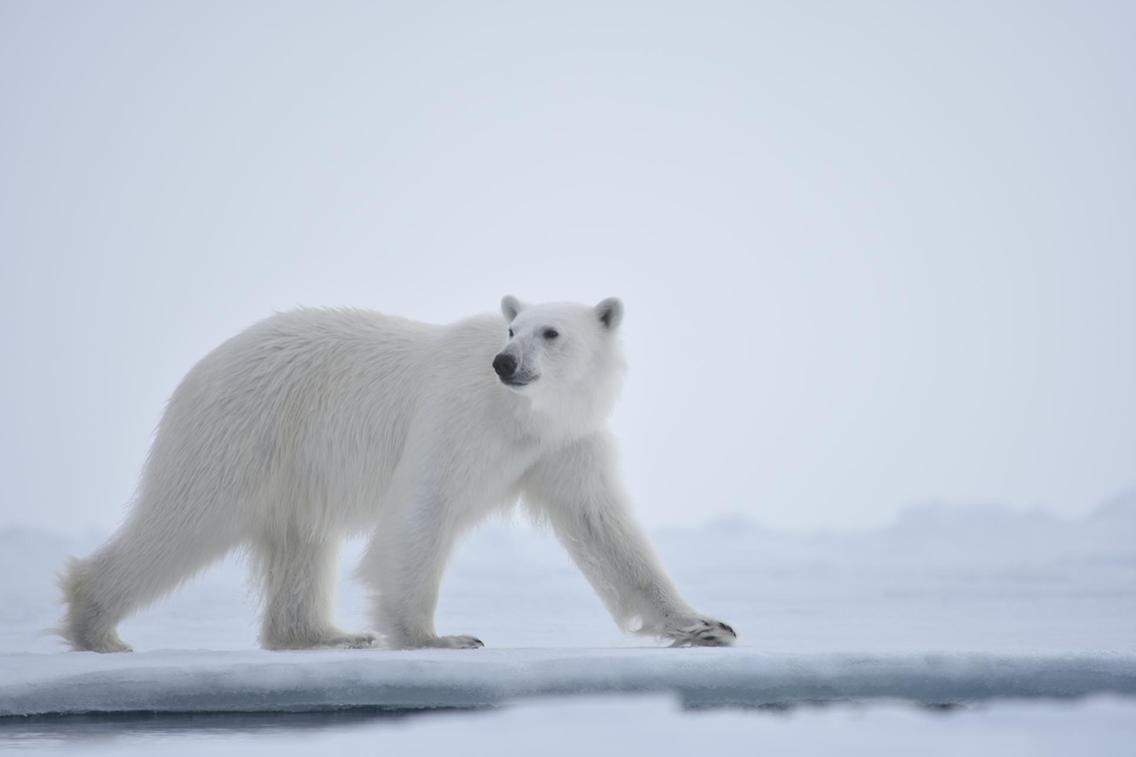 Our Planet Wallpapers - Top Free Our Planet Backgrounds - WallpaperAccess